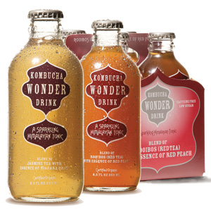 A boot-legger's guide to Kombucha brewing