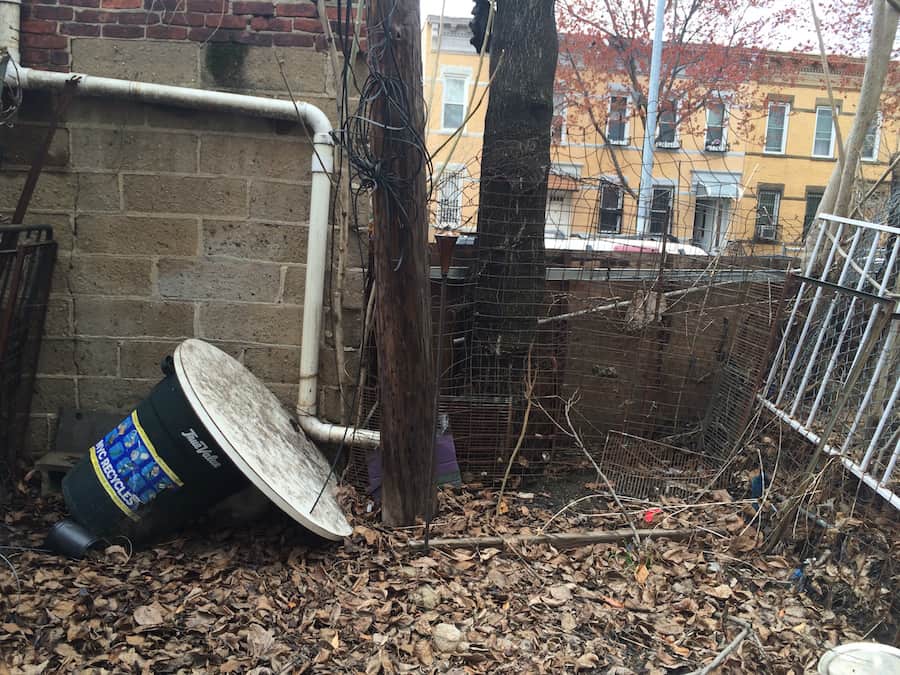 Yes, there is hope for gardening in your garbage backyard!