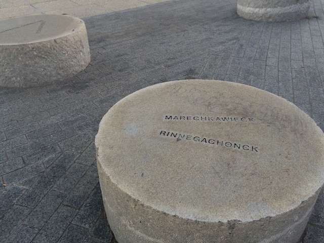 This hidden Greenpoint trail is the escape you need right now