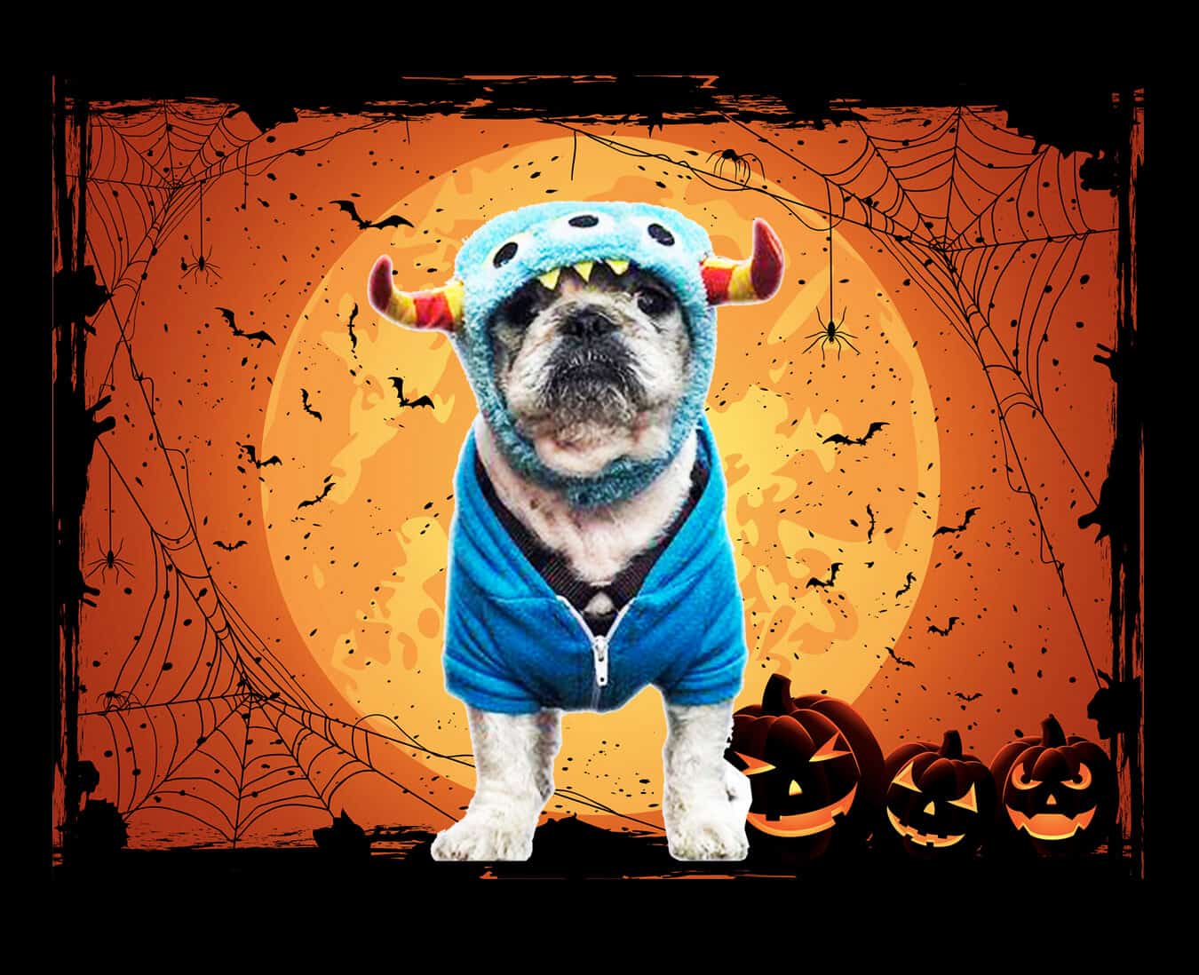 The 20 best cheap things to do this weekend, slightly spoopy edition